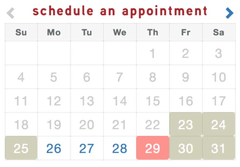 Airport Security - FMA